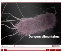 Certification en hygiène et salubrité alimentaire reconnue par le MAPAQ